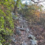Signal Knob Loop Trail, Virginia - 943 Reviews, Map | AllTrails