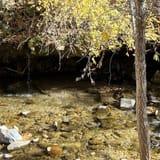 Dripping Rock Falls, Utah - 743 Reviews, Map | AllTrails