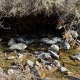 Dripping Rock Falls, Utah - 743 Reviews, Map | AllTrails