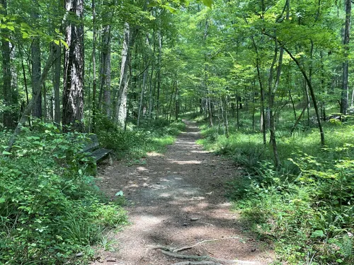10 Best Easy Trails in Oak Mountain State Park | AllTrails