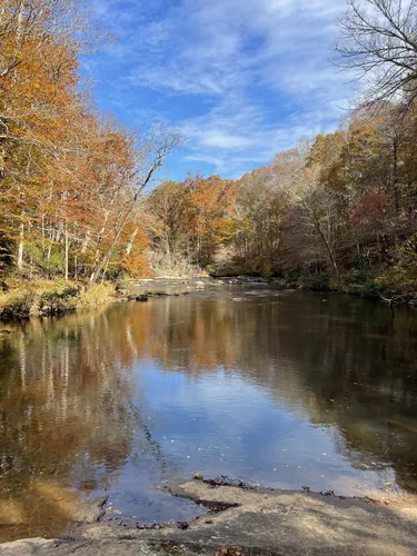 Best Hikes and Trails in Mayo River State Park | AllTrails
