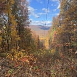 Kennedy Peak Loop, Virginia - 571 Reviews, Map | AllTrails