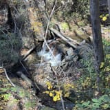 Coleman River Trail, Georgia - 138 Reviews, Map | AllTrails