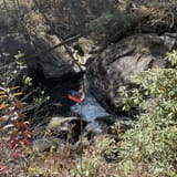 Coleman River Trail, Georgia - 138 Reviews, Map | AllTrails