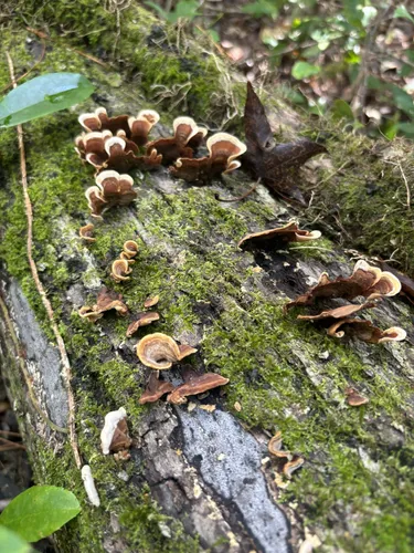 Best Hikes and Trails in Double Lake Recreation Area | AllTrails