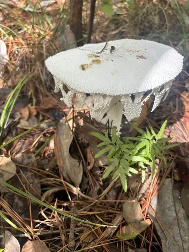 Best Hikes and Trails in Double Lake Recreation Area | AllTrails