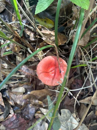 Best Hikes and Trails in Double Lake Recreation Area | AllTrails