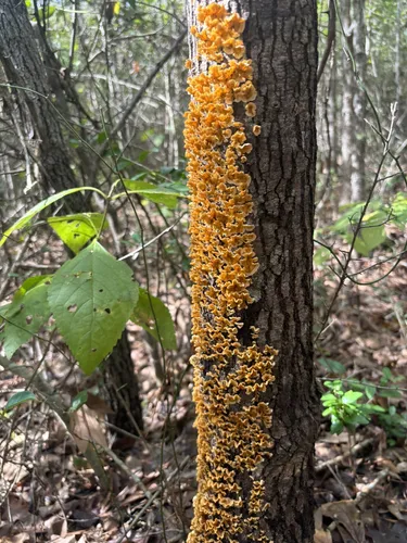 Best Hikes and Trails in Double Lake Recreation Area | AllTrails