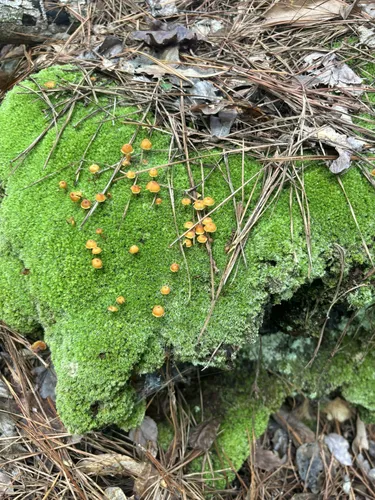 Best Hikes and Trails in Double Lake Recreation Area | AllTrails