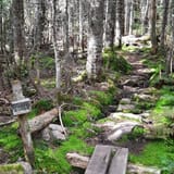 Mahoosuc Notch Loop via North Pond Road to Appalachian Trail, Maine ...