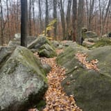 Thunder Rocks, New York - 59 Reviews, Map | AllTrails