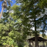 Landa Park Loop, Texas - 456 Reviews, Map | AllTrails