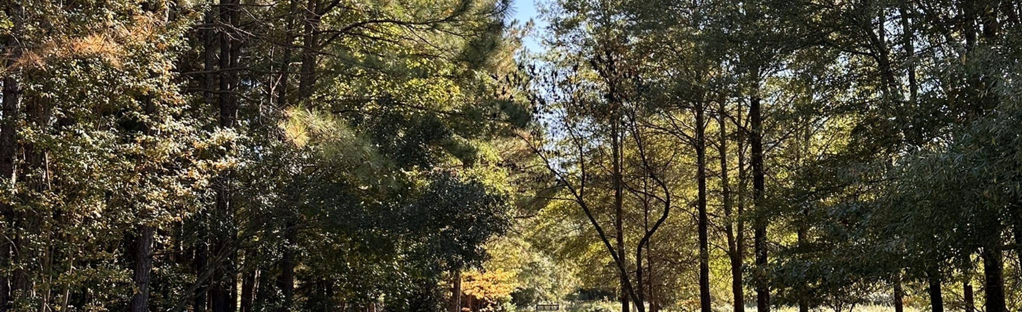 Knightdale Station Park Loop, North Carolina - 140 Reviews, Map | AllTrails