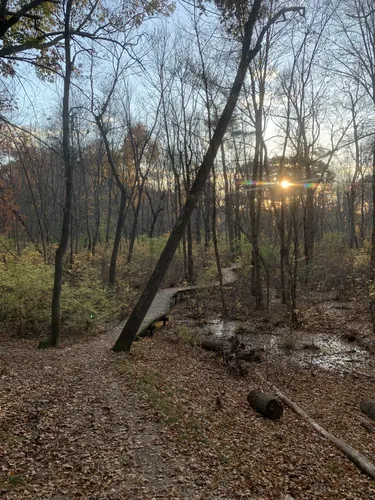 Best Hikes and Trails in Indian Ridge Reservation | AllTrails