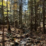 Scenic Trail Cut-off and Maiden Cliff Trail, Maine - 1,364 Reviews, Map ...