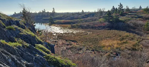 Best Hikes and Trails in Stonehurst South | AllTrails