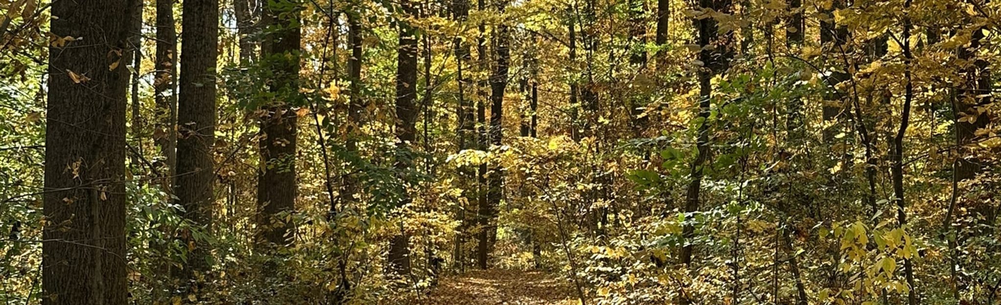 Monocacy Hill Trail - Lower Trail Loop, Pennsylvania - 142 Reviews, Map ...