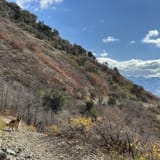 Emigration Canyon Miners Trail, Utah - 726 Reviews, Map | AllTrails