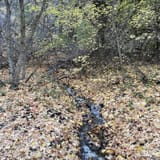 Maple Canyon to Whiting Campground, Utah - 607 Reviews, Map | AllTrails