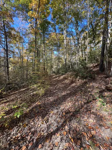 Best Hikes and Trails in Maxwell Hall Natural Resource Management Area ...