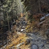 Cub Lake Loop, Colorado - 1,902 Reviews, Map | AllTrails