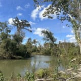 Tickfaw State Park River Trail, Louisiana - 136 Reviews, Map | AllTrails