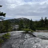 Mount Cardigan Loop Trail, New Hampshire - 1,907 Reviews, Map | AllTrails