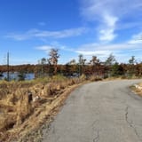 Lake Scranton Loop, Pennsylvania - 666 Reviews, Map | AllTrails