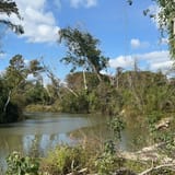 Tickfaw State Park River Trail, Louisiana - 136 Reviews, Map | AllTrails