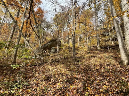 Best Hikes and Trails in Dunlow | AllTrails