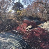 Terrace Pond Loop, New Jersey - 239 Reviews, Map | AllTrails
