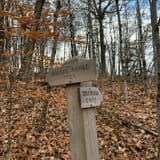 Spruce Hill via Hoosac Range Trail, Massachusetts - 540 Reviews, Map ...