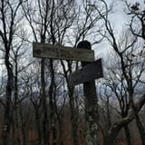 Spruce Hill via Hoosac Range Trail, Massachusetts - 616 Reviews, Map ...