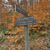 Spruce Hill via Hoosac Range Trail, Massachusetts - 616 Reviews, Map ...