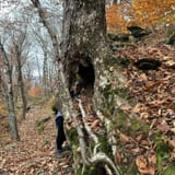 Spruce Hill via Hoosac Range Trail, Massachusetts - 616 Reviews, Map ...