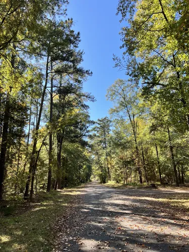 Best Hikes and Trails in Fort Gordon Recreation Area | AllTrails