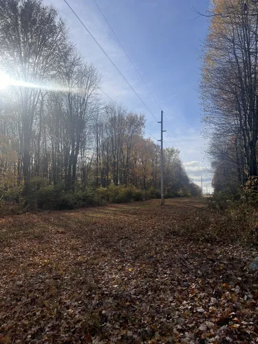 Best Hikes and Trails in Sandusky Hollow Nature Preserve | AllTrails