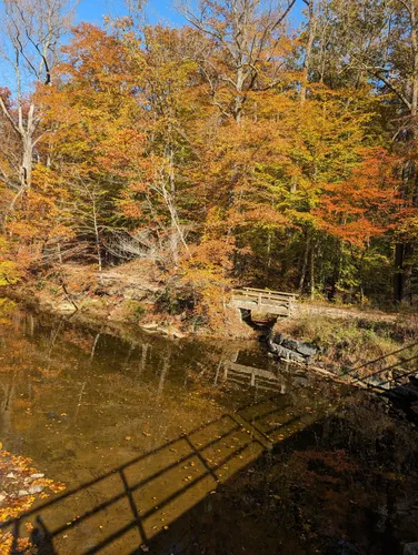 2023 Best Partially Paved Trails in Elkton | AllTrails 2023 Best Partially Paved Trails in Elkton | AllTrails