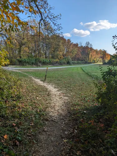 2023 Best Partially Paved Trails in Elkton | AllTrails 2023 Best Partially Paved Trails in Elkton | AllTrails