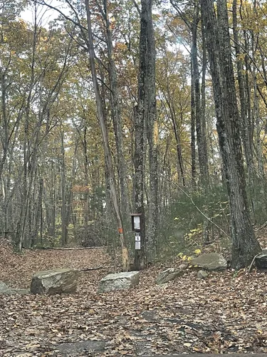 Best Hikes and Trails in Snake Den State Park | AllTrails