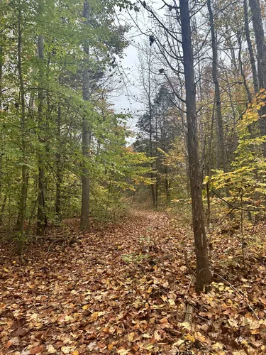 Best Hikes and Trails in Paynetown State Recreation Area | AllTrails