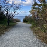 Halibut Point Trail, Massachusetts - 1,181 Reviews, Map | AllTrails