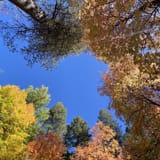 Bear Wallow Spring, Arizona - 391 Reviews, Map | AllTrails