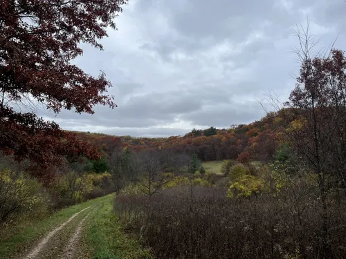 10 Best Hikes and Trails in Governor Dodge State Park | AllTrails
