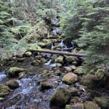 Watson Falls, Oregon - 1,030 Reviews, Map | AllTrails