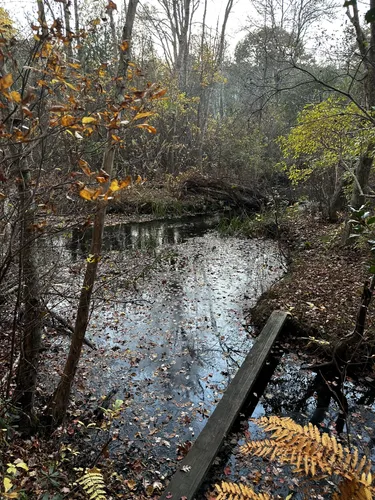 Best Hikes and Trails in River Bend Conservation Area | AllTrails