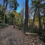 High Park Loop, Ontario, Canada - 874 Reviews, Map | AllTrails