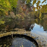 High Park Loop, Ontario, Canada - 874 Reviews, Map | AllTrails
