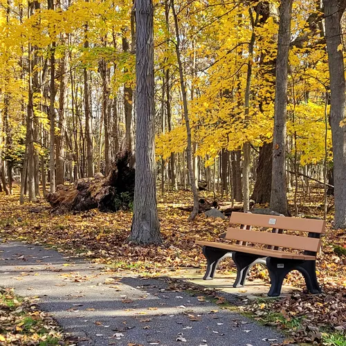 Best Hikes and Trails in Ada Township Park | AllTrails