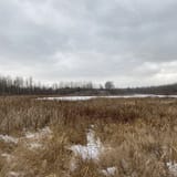 Amisk Wuche Trail, Alberta, Canada - 483 Reviews, Map | AllTrails